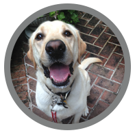 amp-pfp - AMP | Advocate Marketing and Print